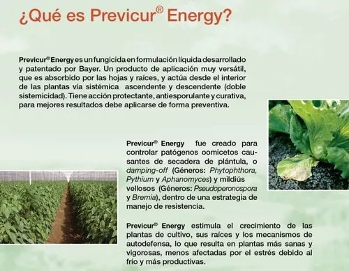 Previcur Energy Fungicida Propamocarb 1 Lt Bayer – Torke