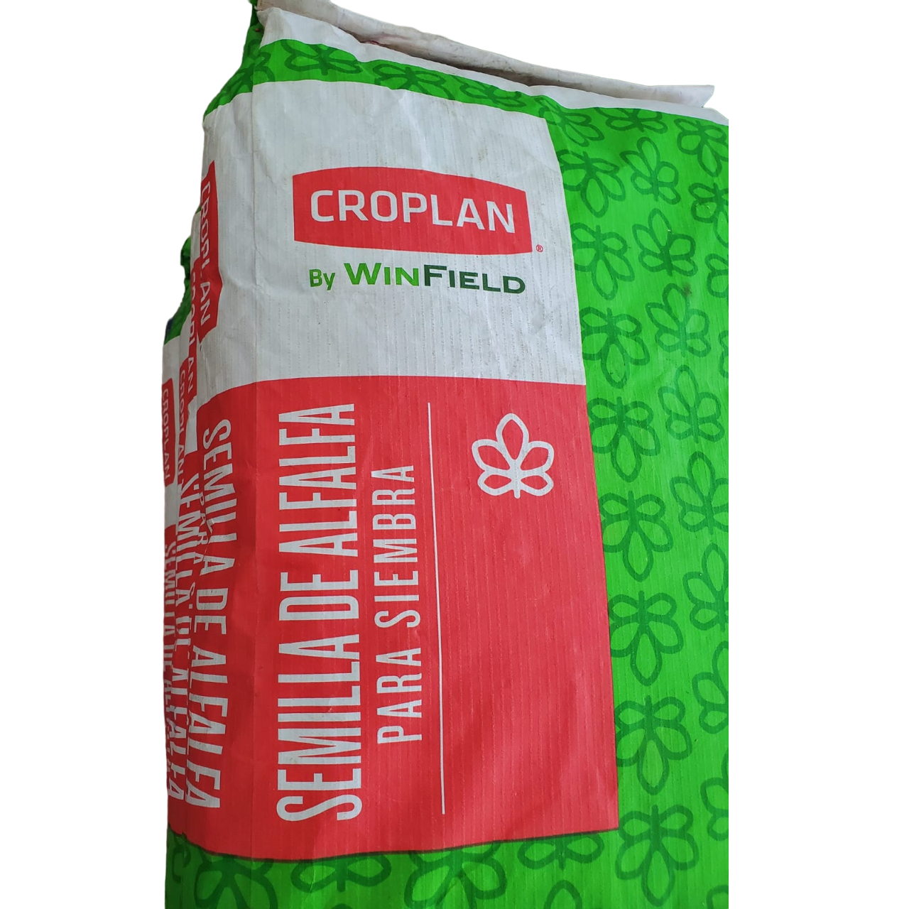 Semilla Alfalfa Croplan By WinField 7211 20 Kg – Torke