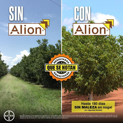 Herbicida Bayer ALION Selectivo SC500 450 ML – Torke